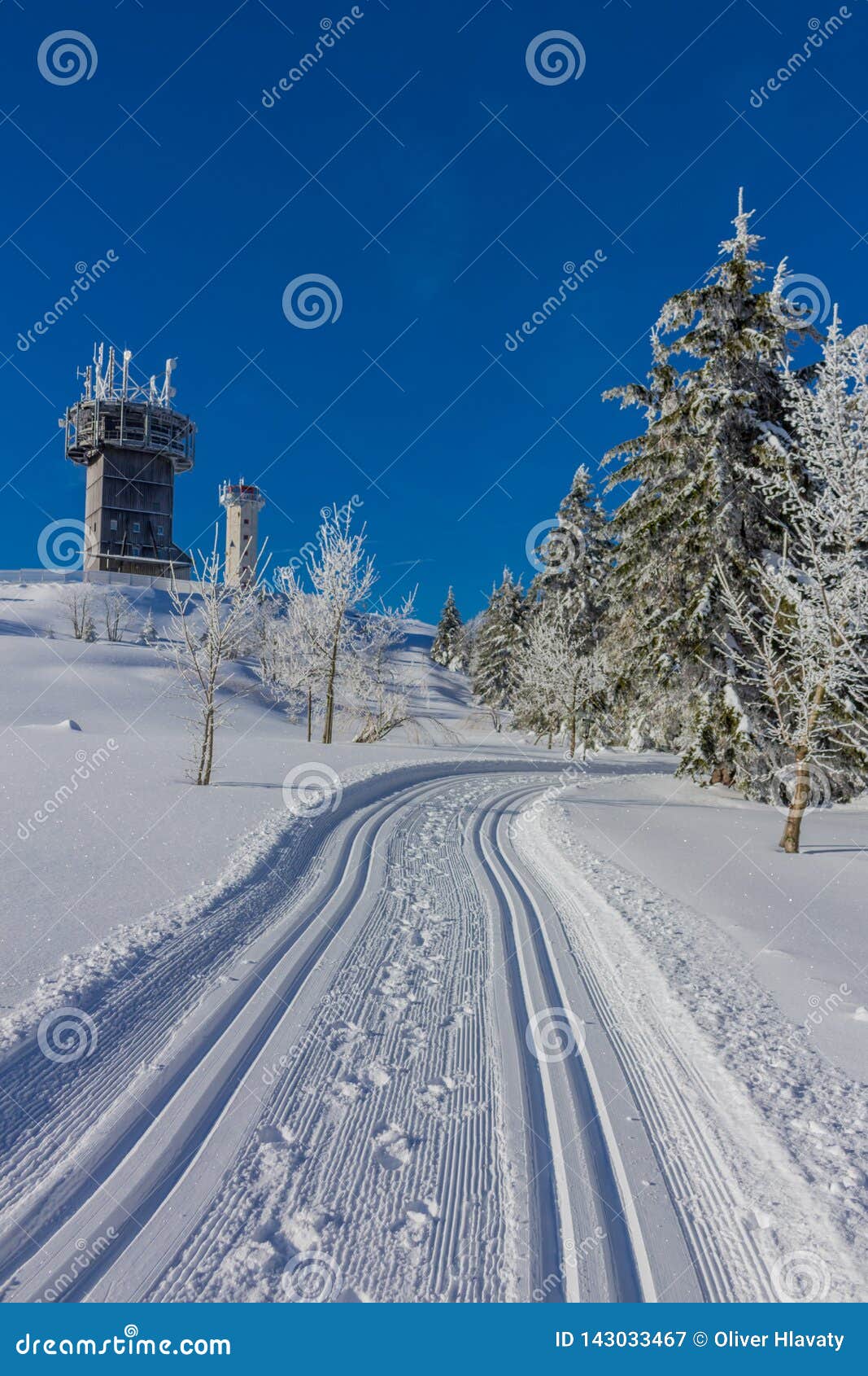 On the Way through the Thuringian Forest Stock Image - Image of germany ...