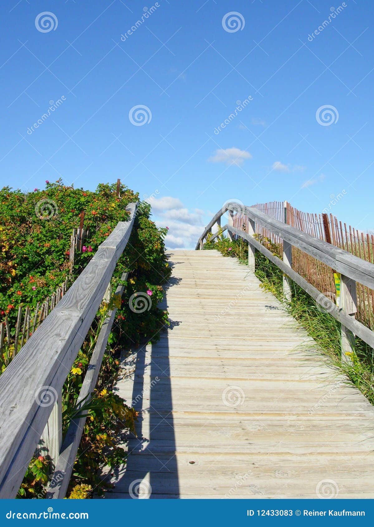 Way to the beach stock image. Image of rise, leisure - 12433083