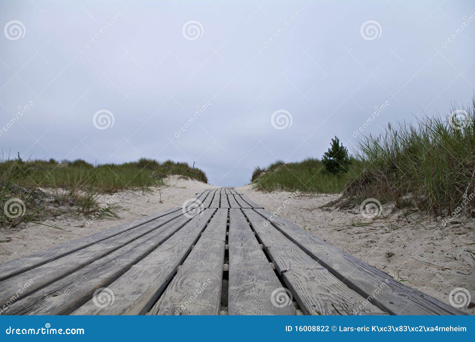 On the way to the beach stock photo. Image of horizon - 16008822