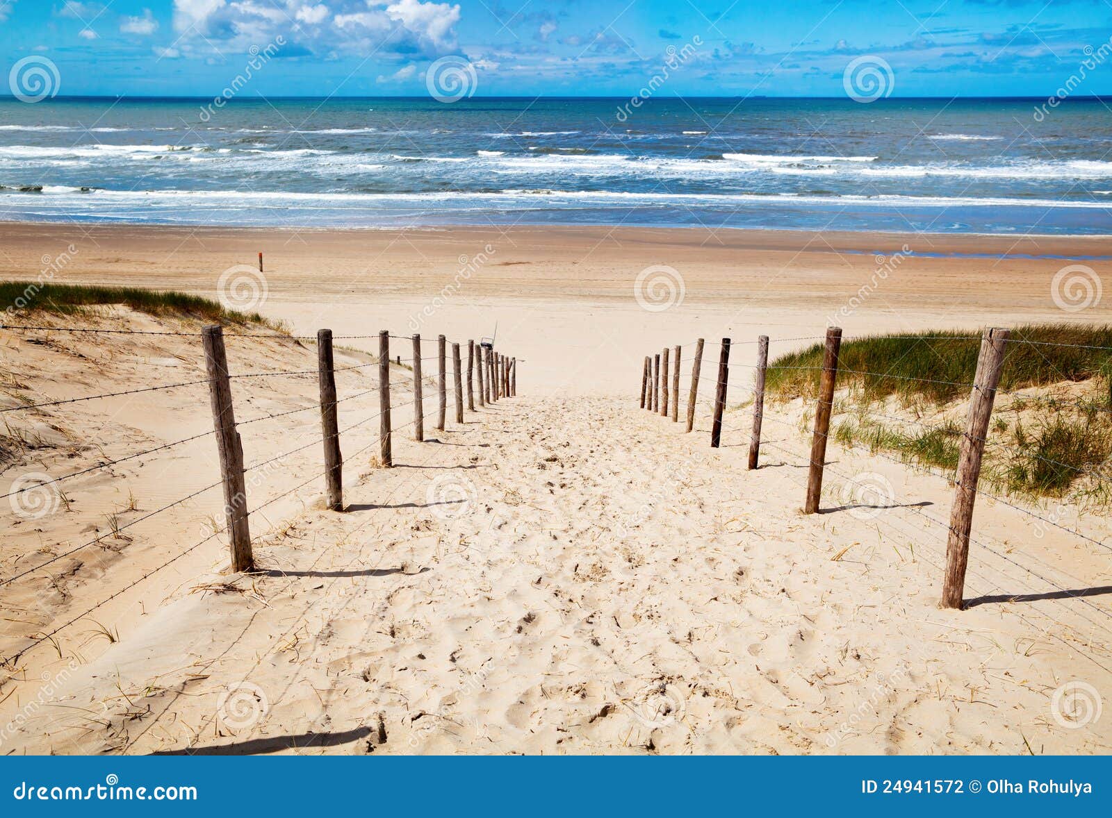Way to the beach stock photo. Image of sunlight, direction - 24941572