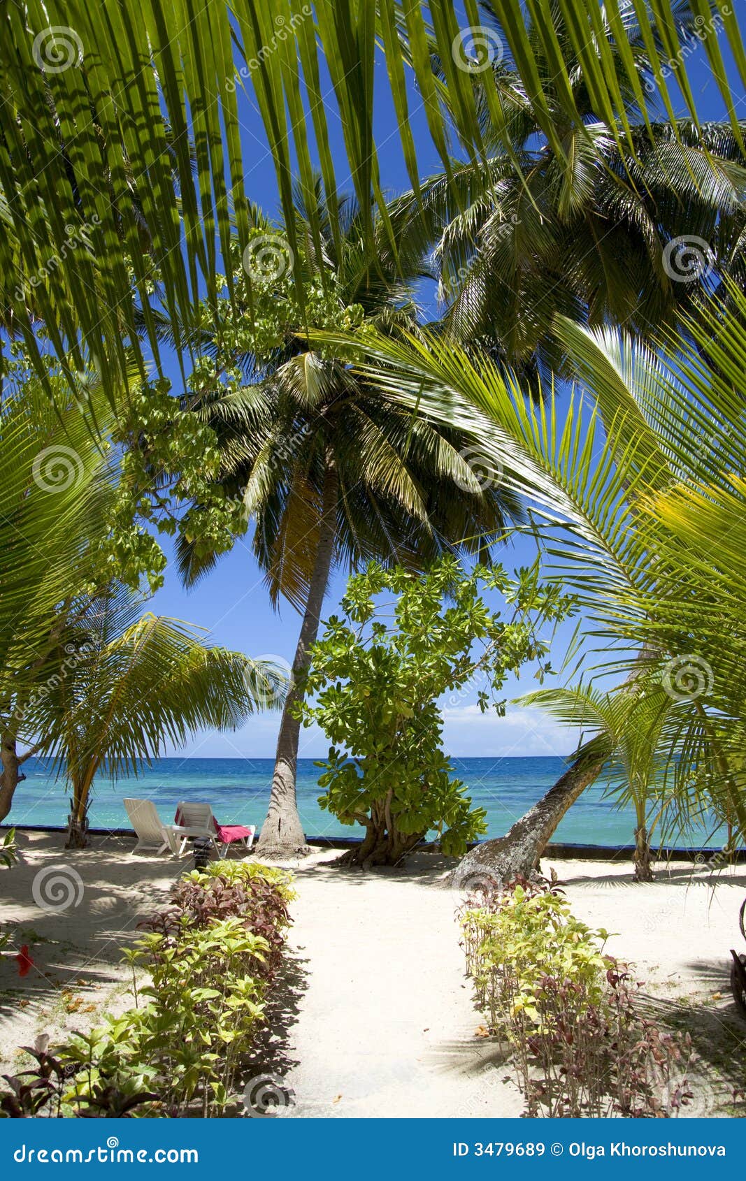 Way to beach stock image. Image of blue, maldives, objects - 3479689