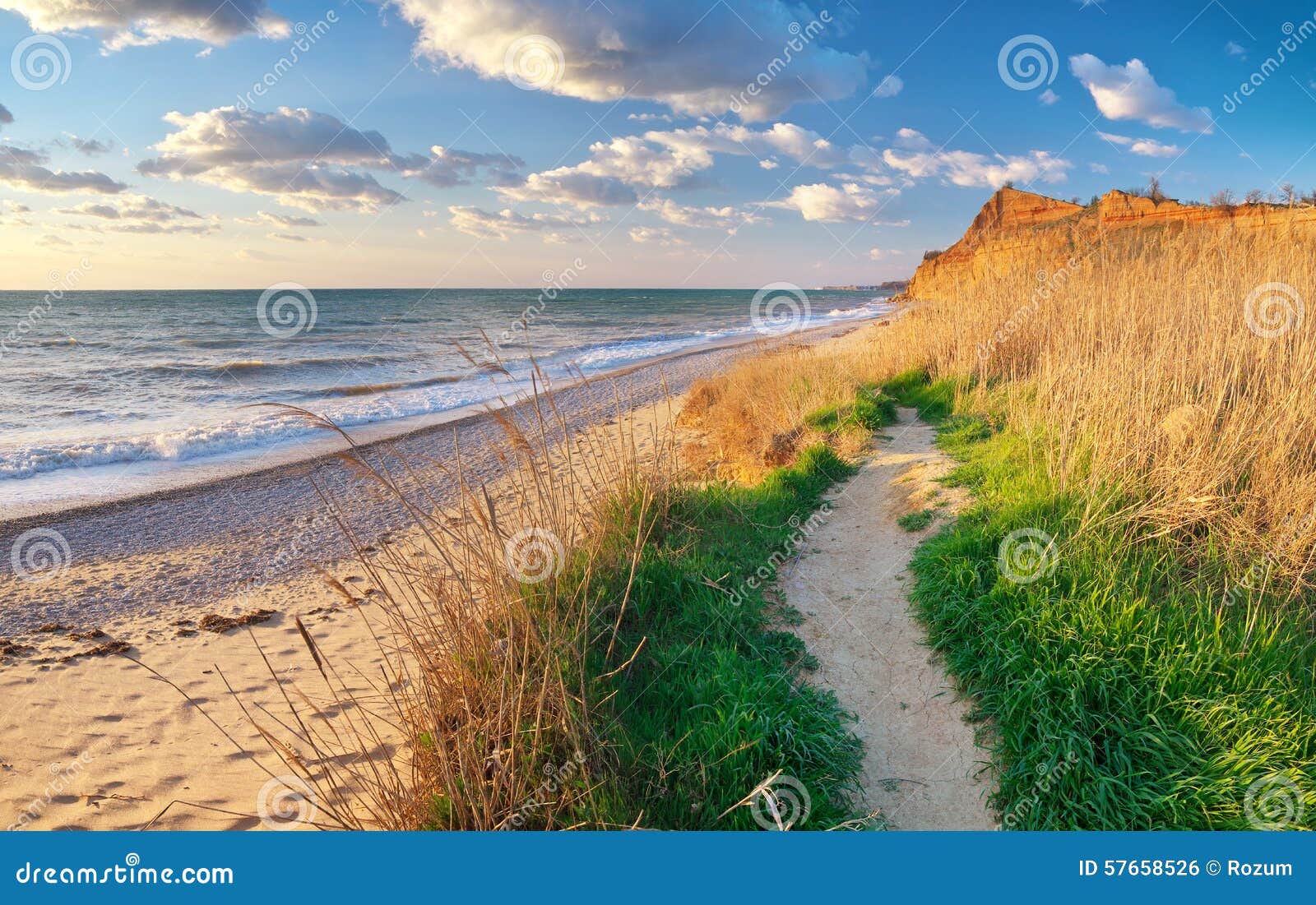 Way to the beach stock photo. Image of coast, path, pathway - 57658526