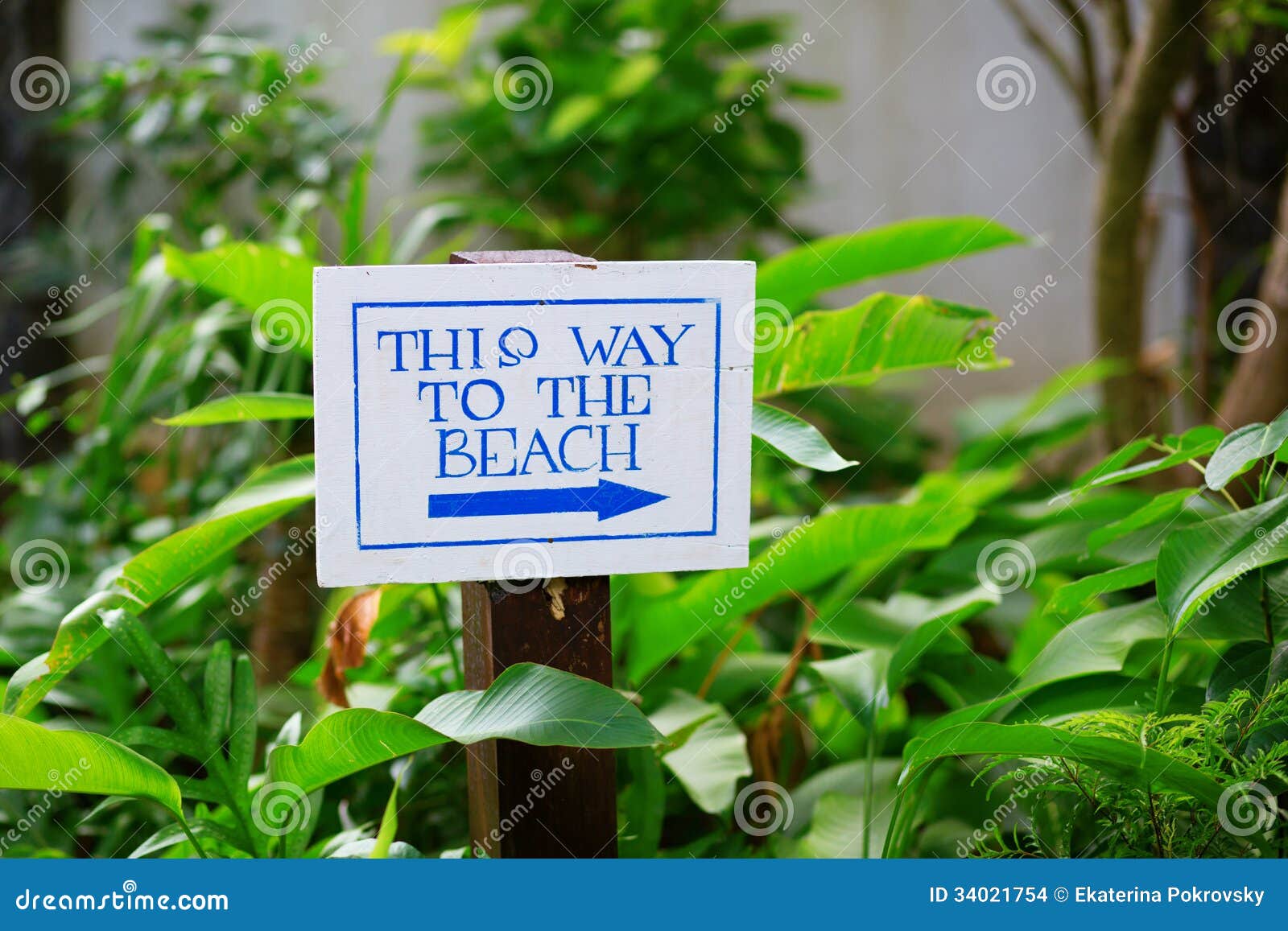 This way to the beach stock photo. Image of island, residential - 34021754