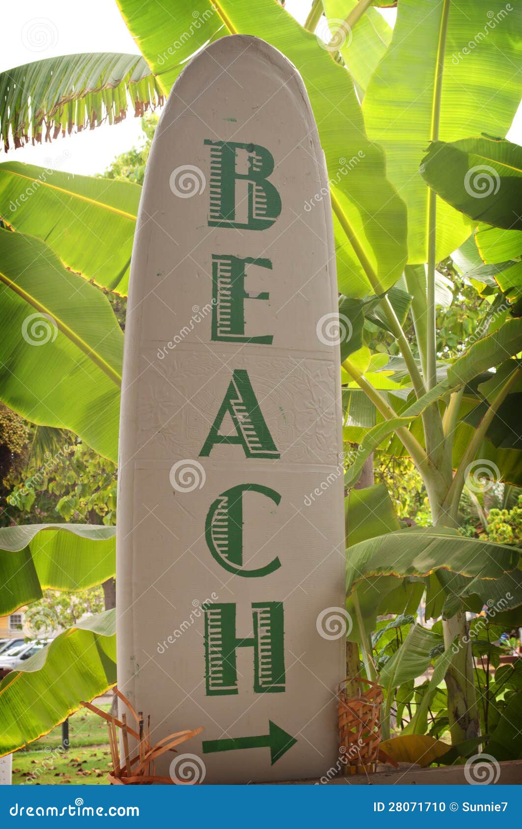 Way To Beach Sign on Surf Board with Palms Stock Photo - Image of palm ...