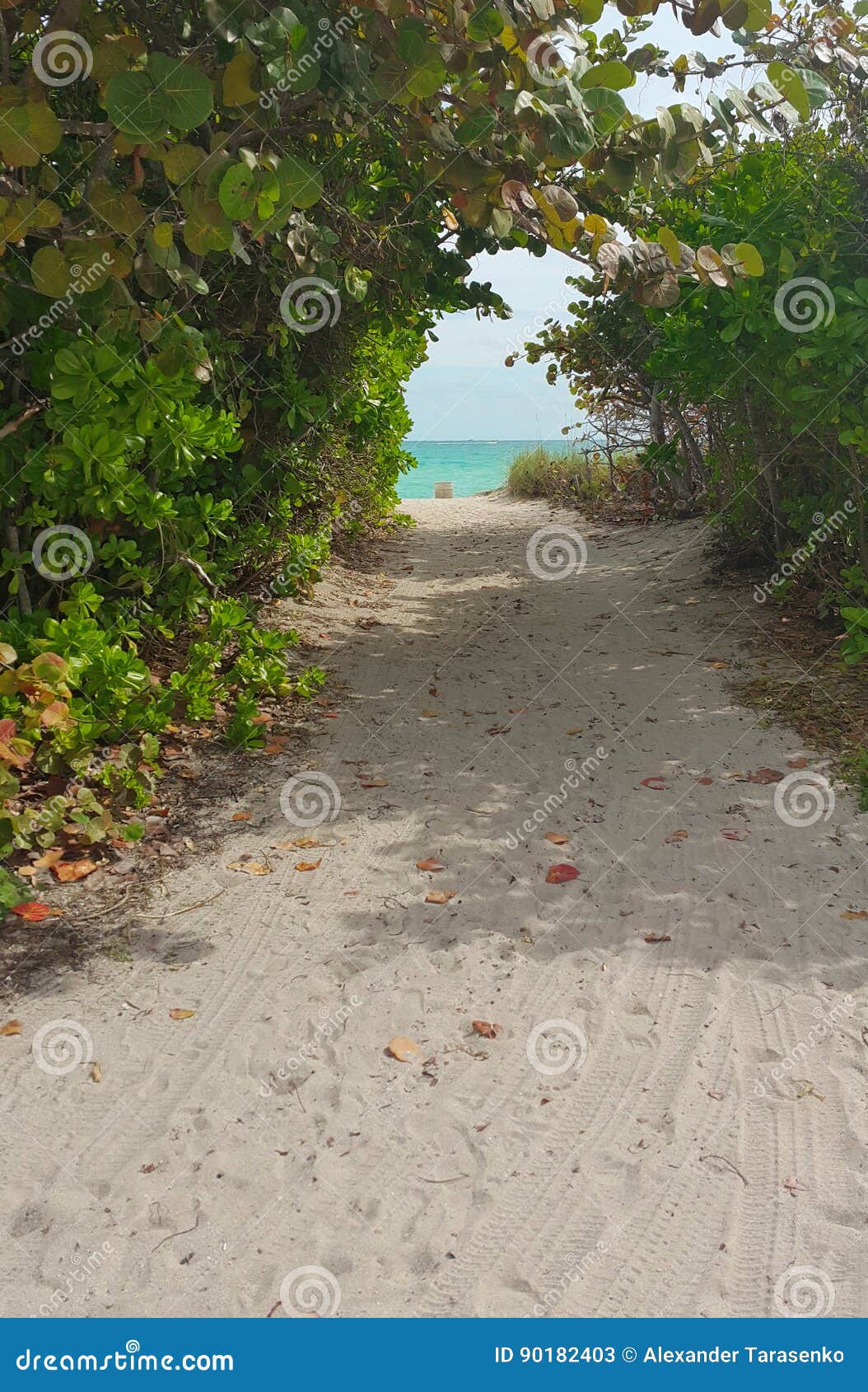 The way to the beach stock image. Image of tourism, beach - 90182403