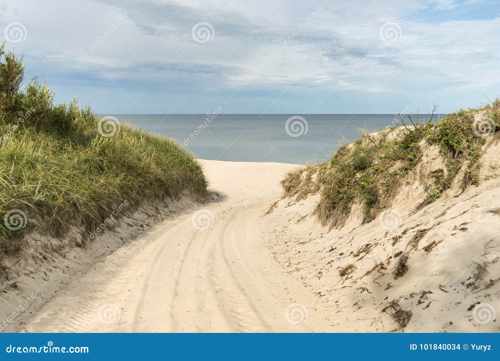 Way to the beach stock photo. Image of beach, baltic - 101840034
