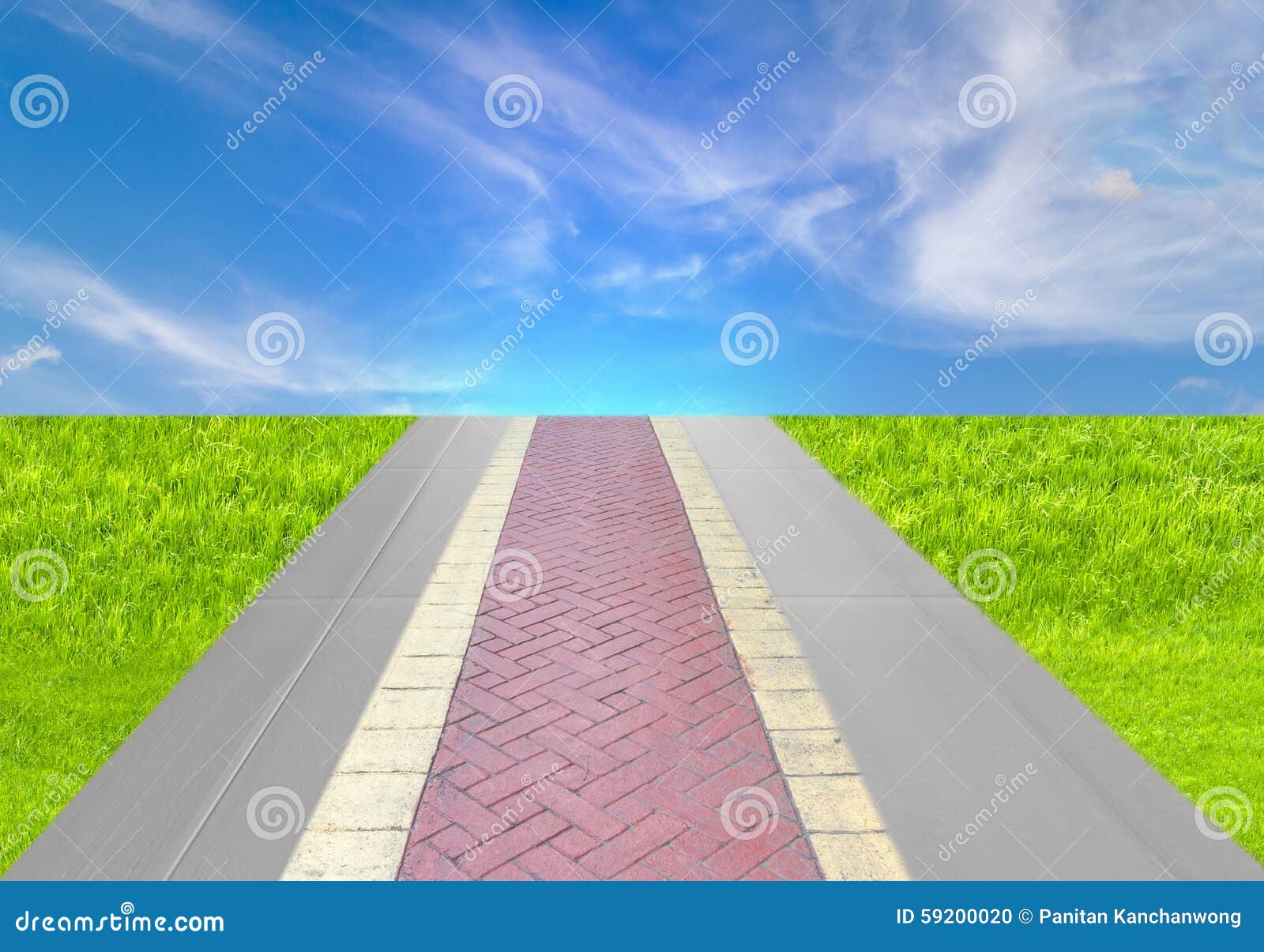The way to freedom stock photo. Image of walk, field - 59200020