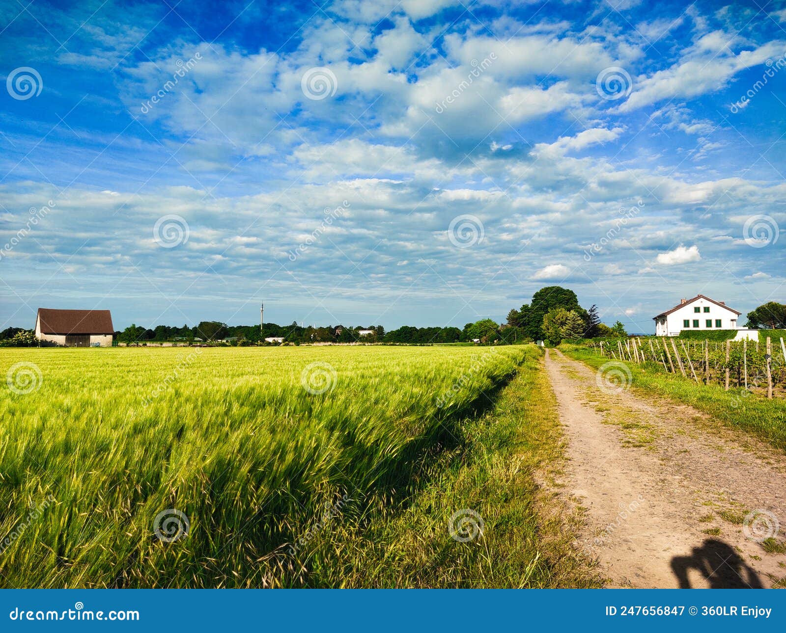 The way to go home stock image. Image of grass, cloud - 247656847