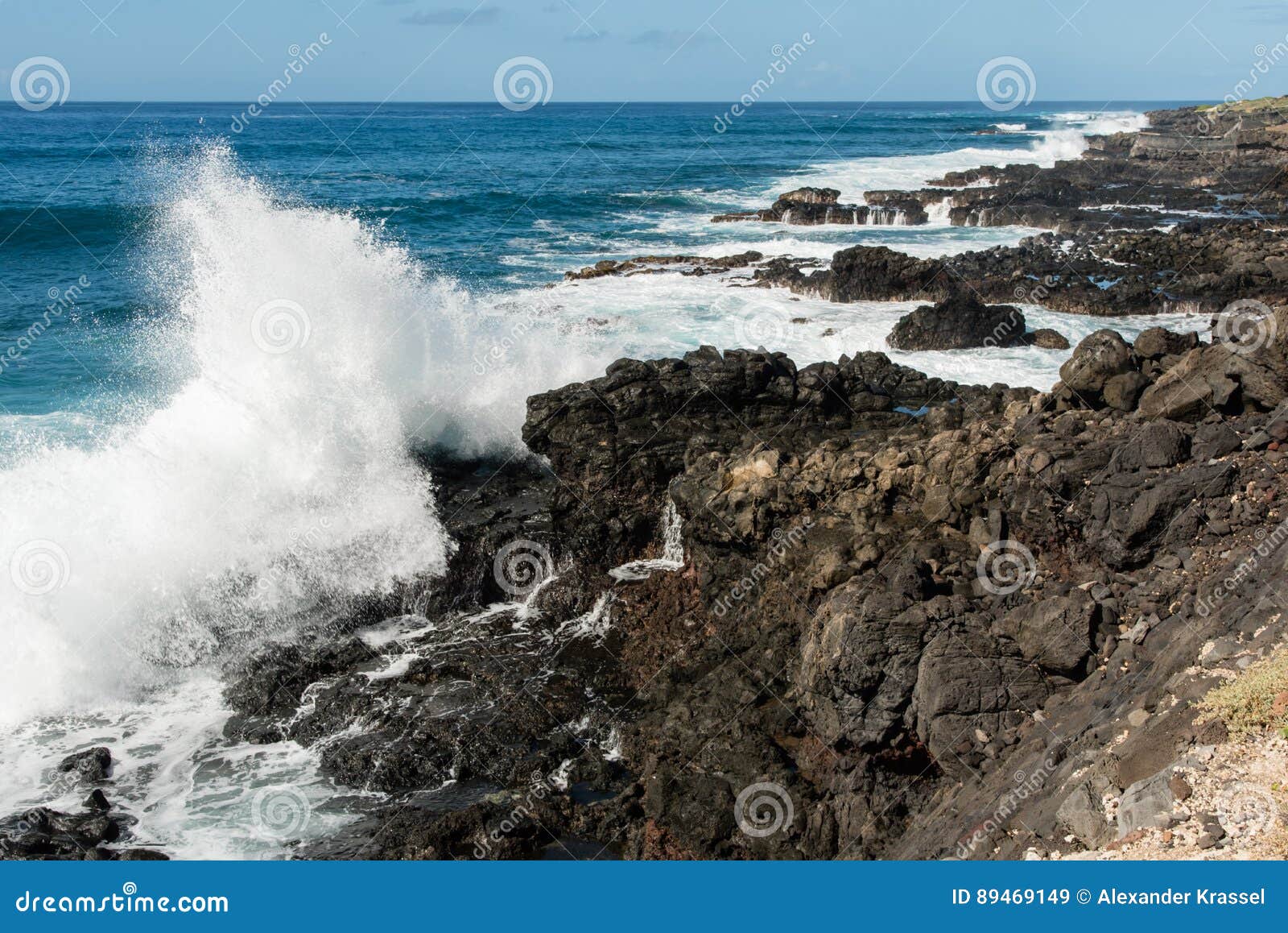 On the Way To Kaena Point, Oahu Stock Image - Image of holiday, grass ...