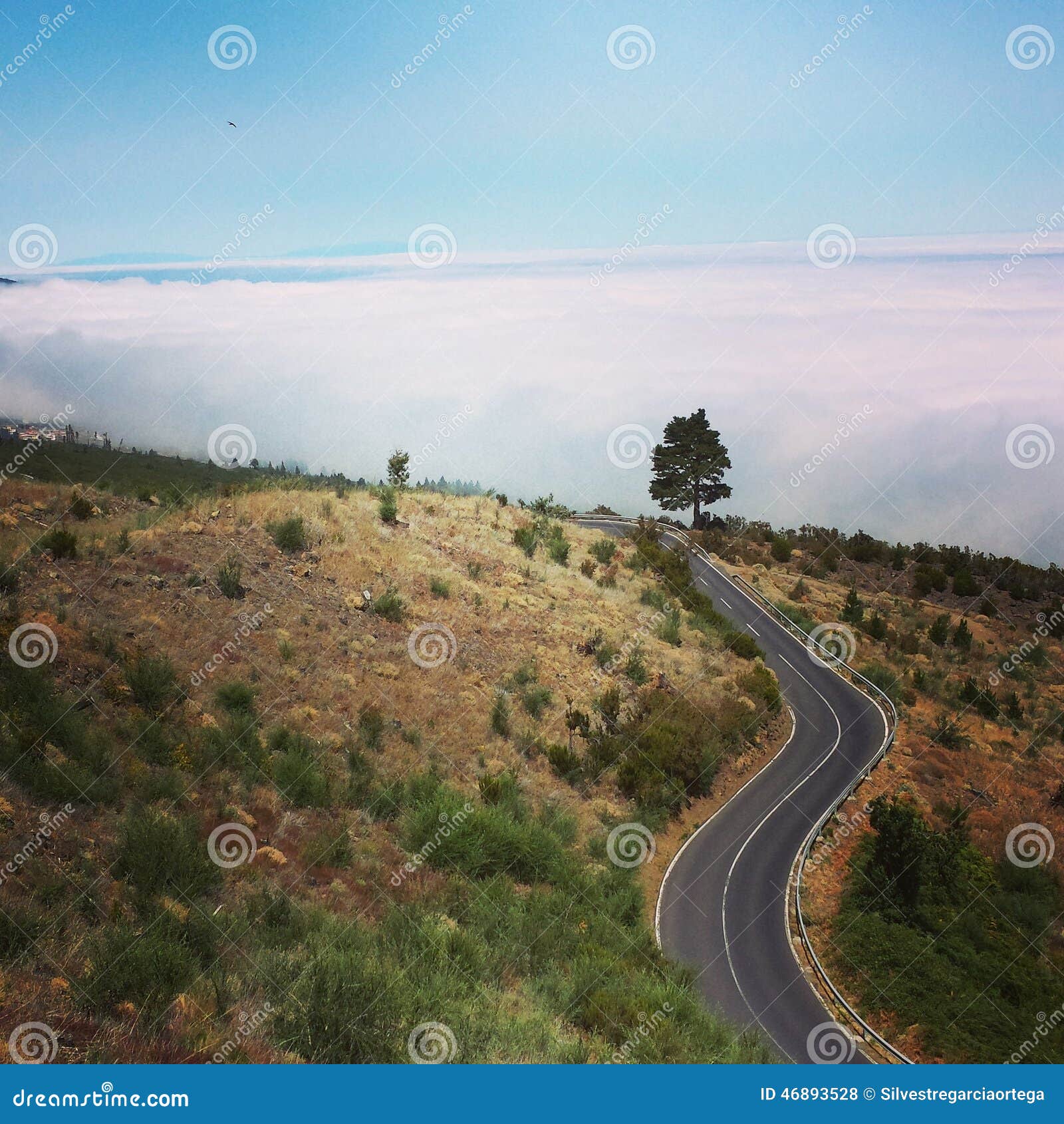Way to nowhere stock photo. Image of road, tree, curves - 46893528