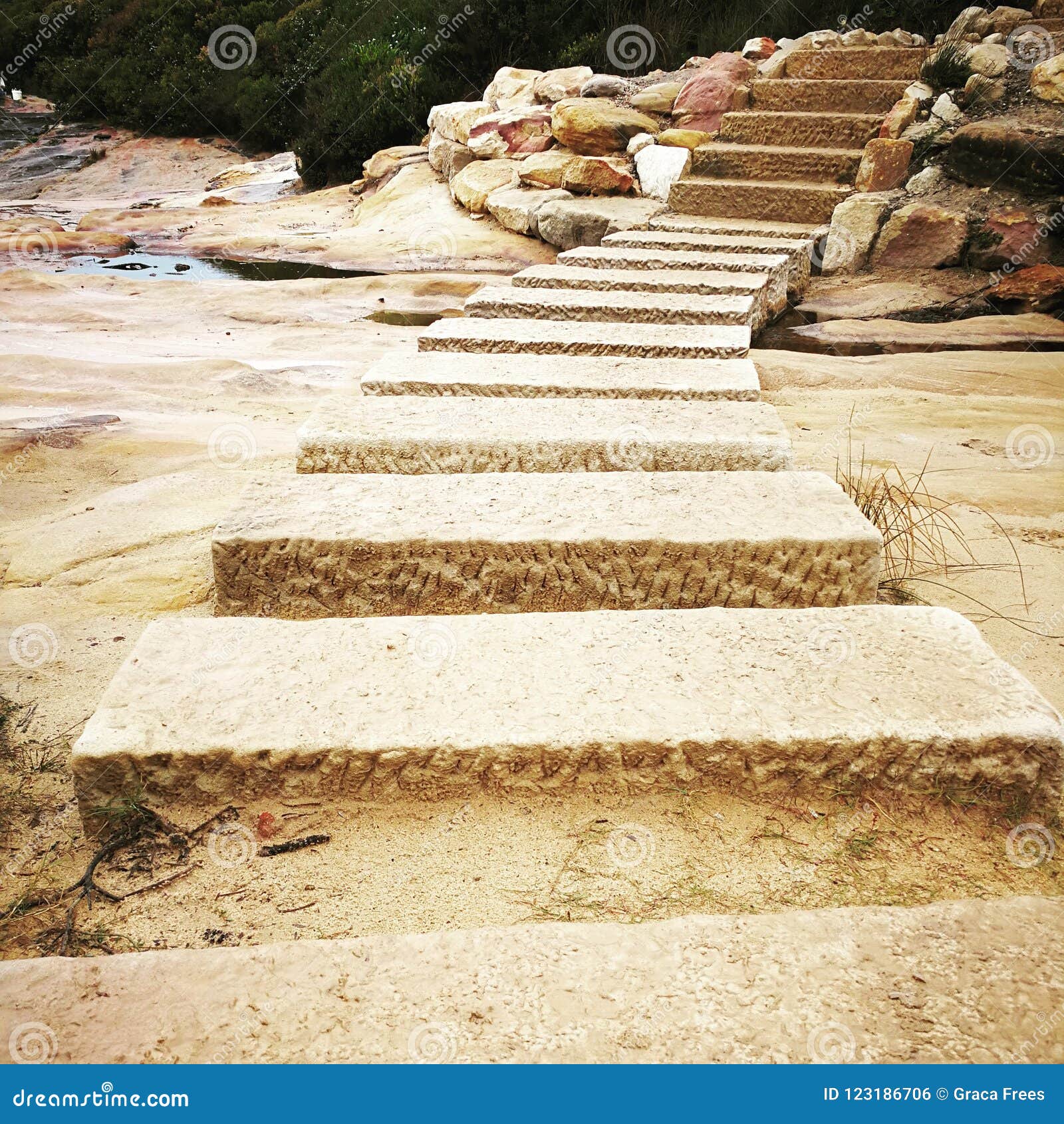 Pathway stock photo. Image of view, pathway, cross, path - 123186706