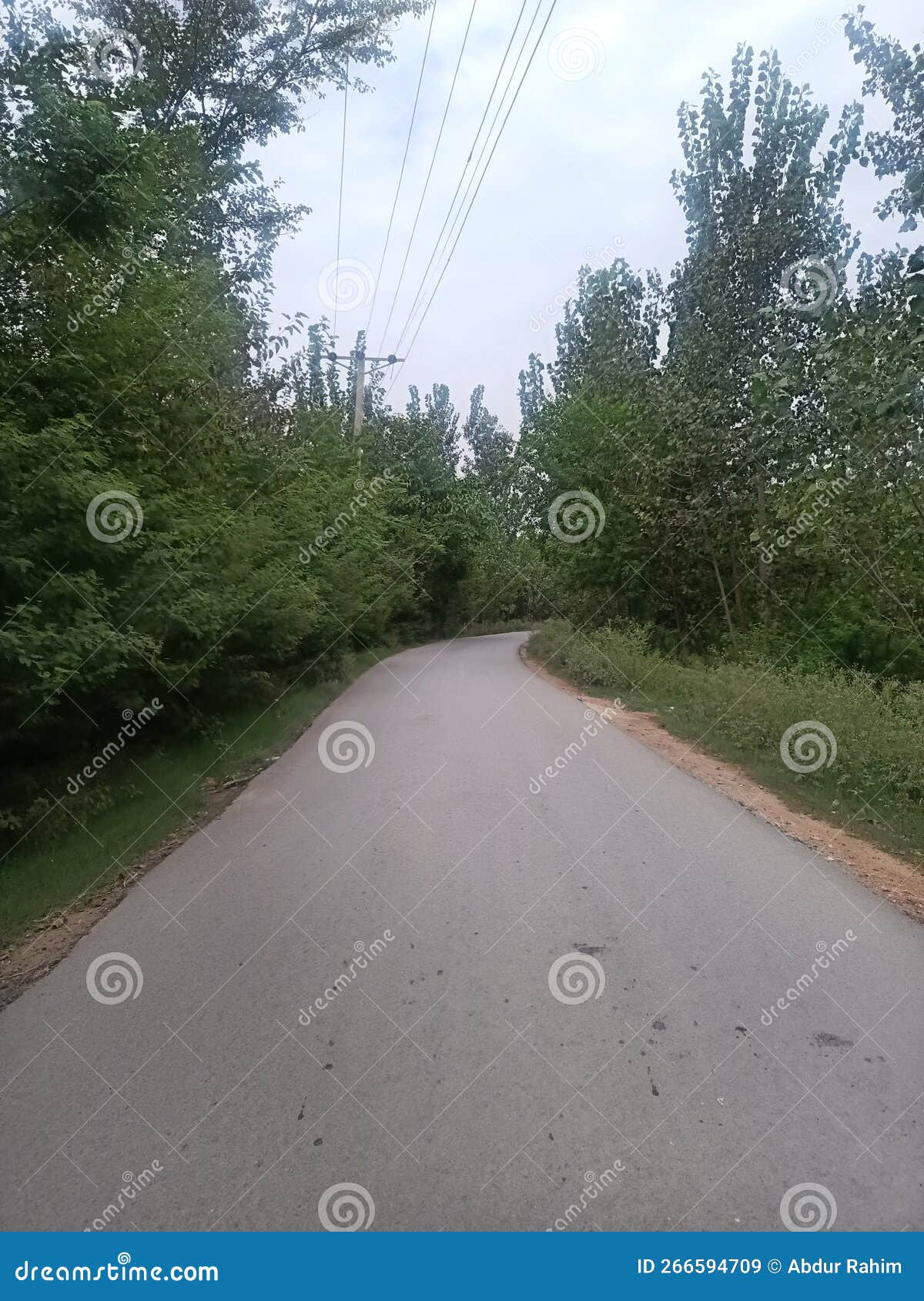 Way To Success is Hard Work Stock Image - Image of tree, soil: 266594709