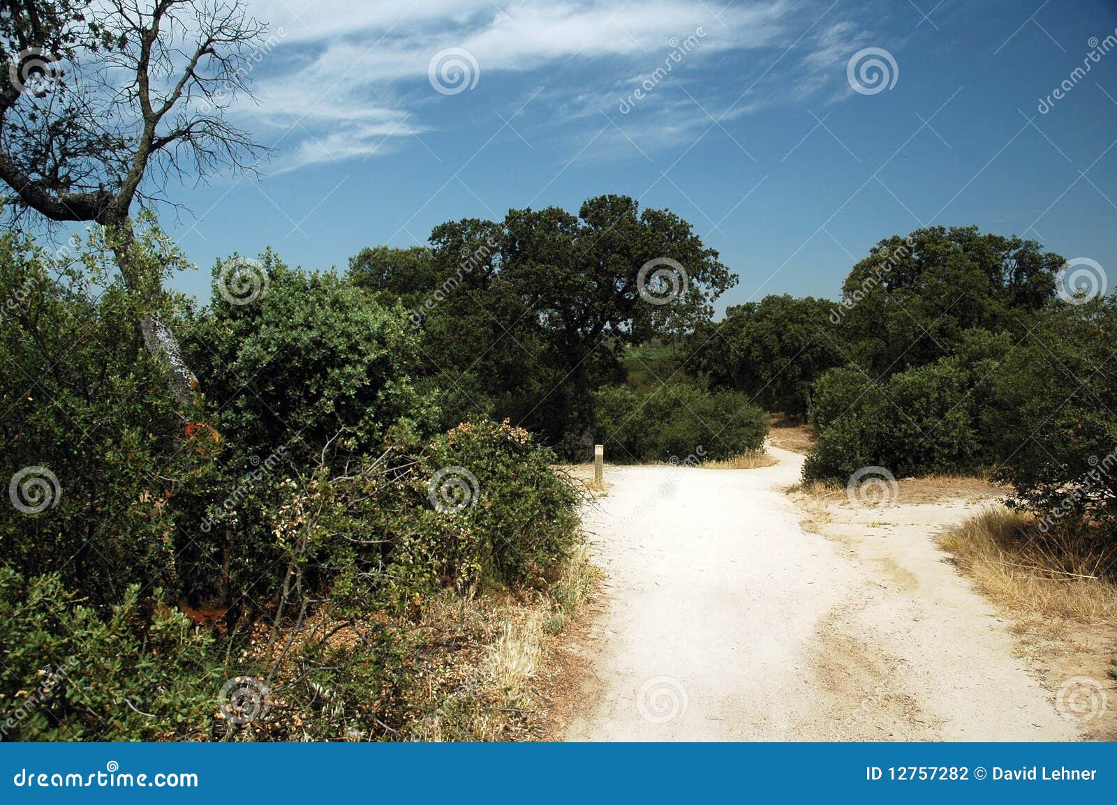 Way to zoo stock photo. Image of grass, path, blue, cloud - 12757282