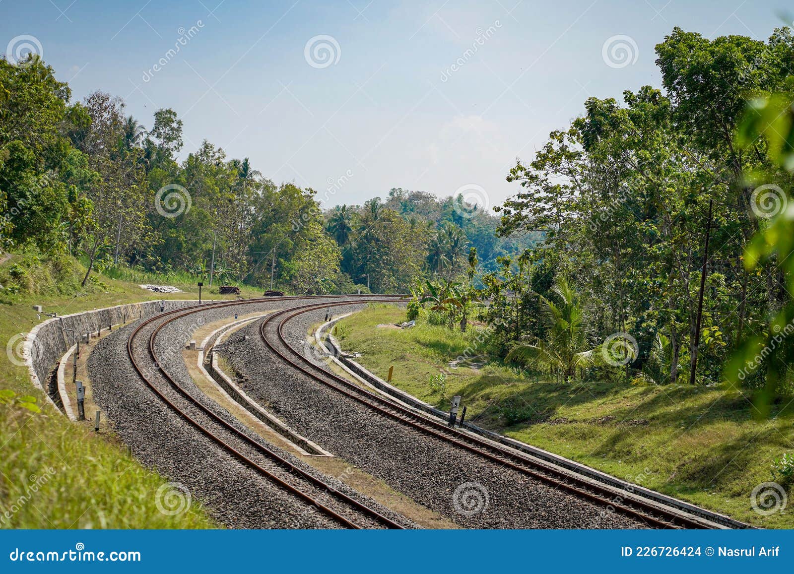 2-way Train Track with Left and Right Views of Dense Forest during the ...