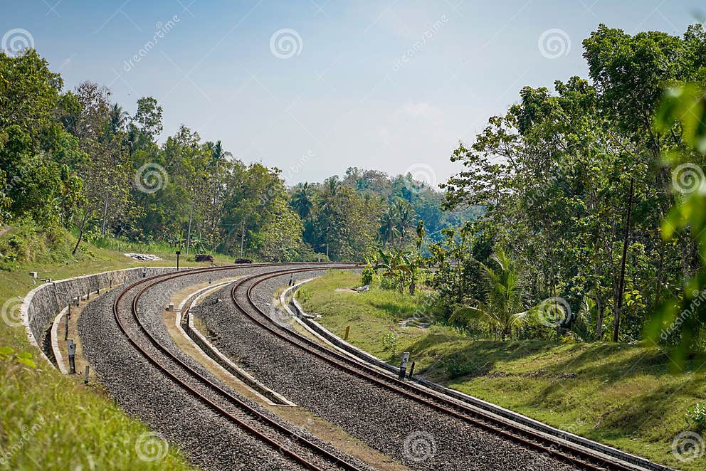 2-way Train Track with Left and Right Views of Dense Forest during the ...