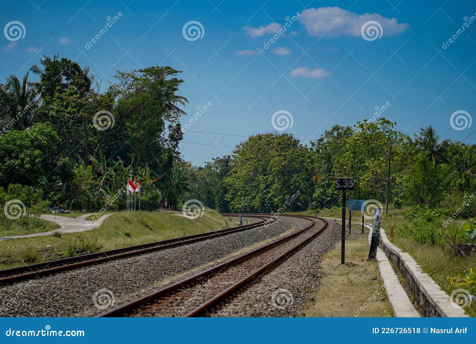 2-way Train Track with Left and Right Views of Dense Forest during the ...
