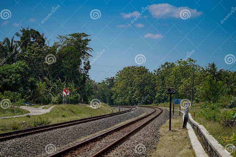 2-way Train Track with Left and Right Views of Dense Forest during the ...