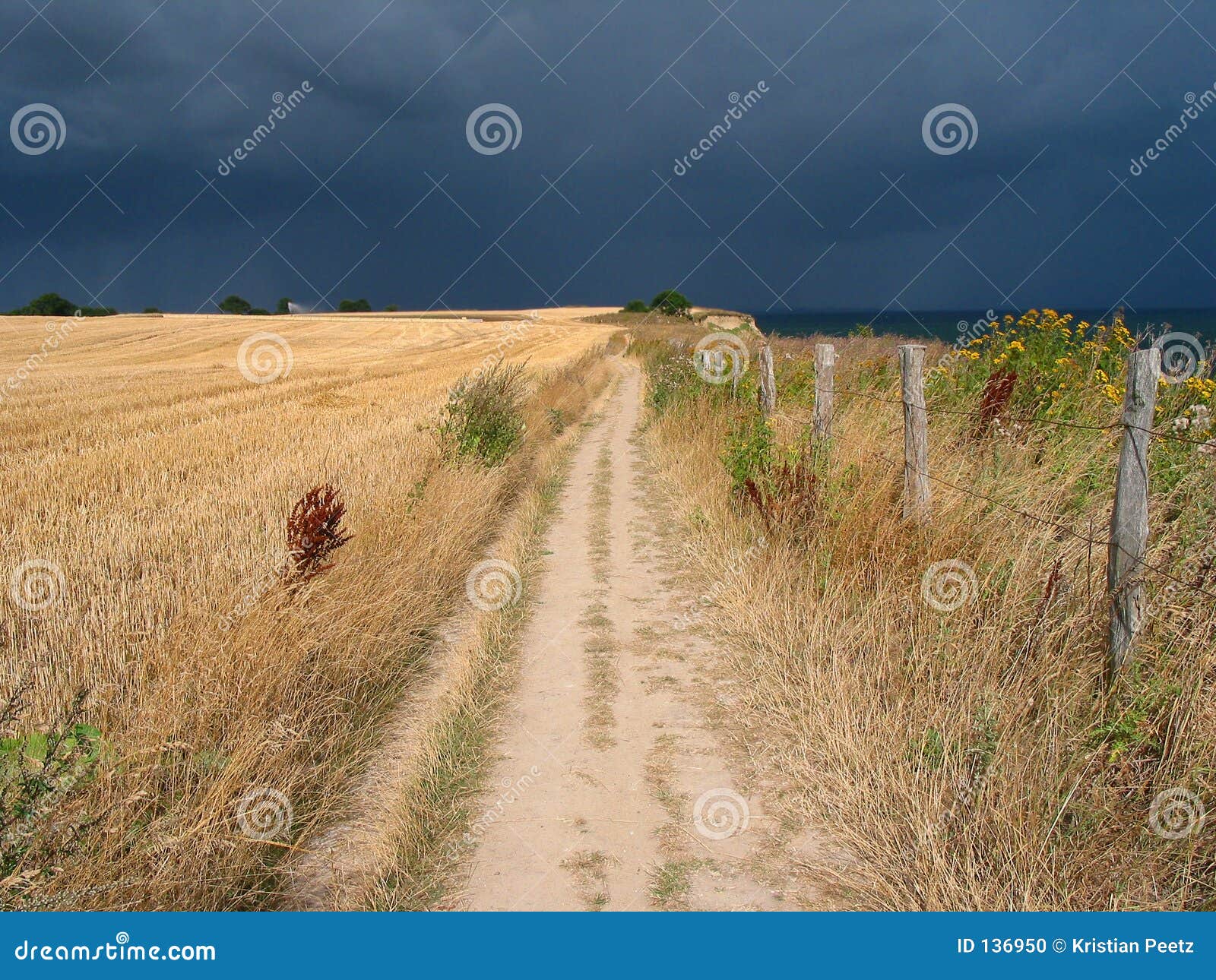The way trough stock photo. Image of clouds, lonely, storm - 136950