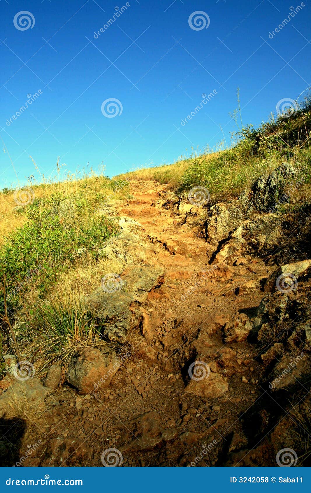 Way up stock photo. Image of country, outside, cloudless - 3242058