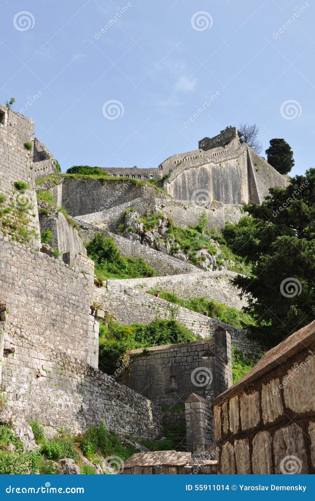 Way up. editorial stock image. Image of green, height - 55911014