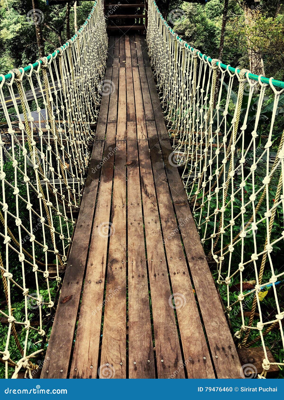 Way stock photo. Image of nature, walk, outdoor - 79476460