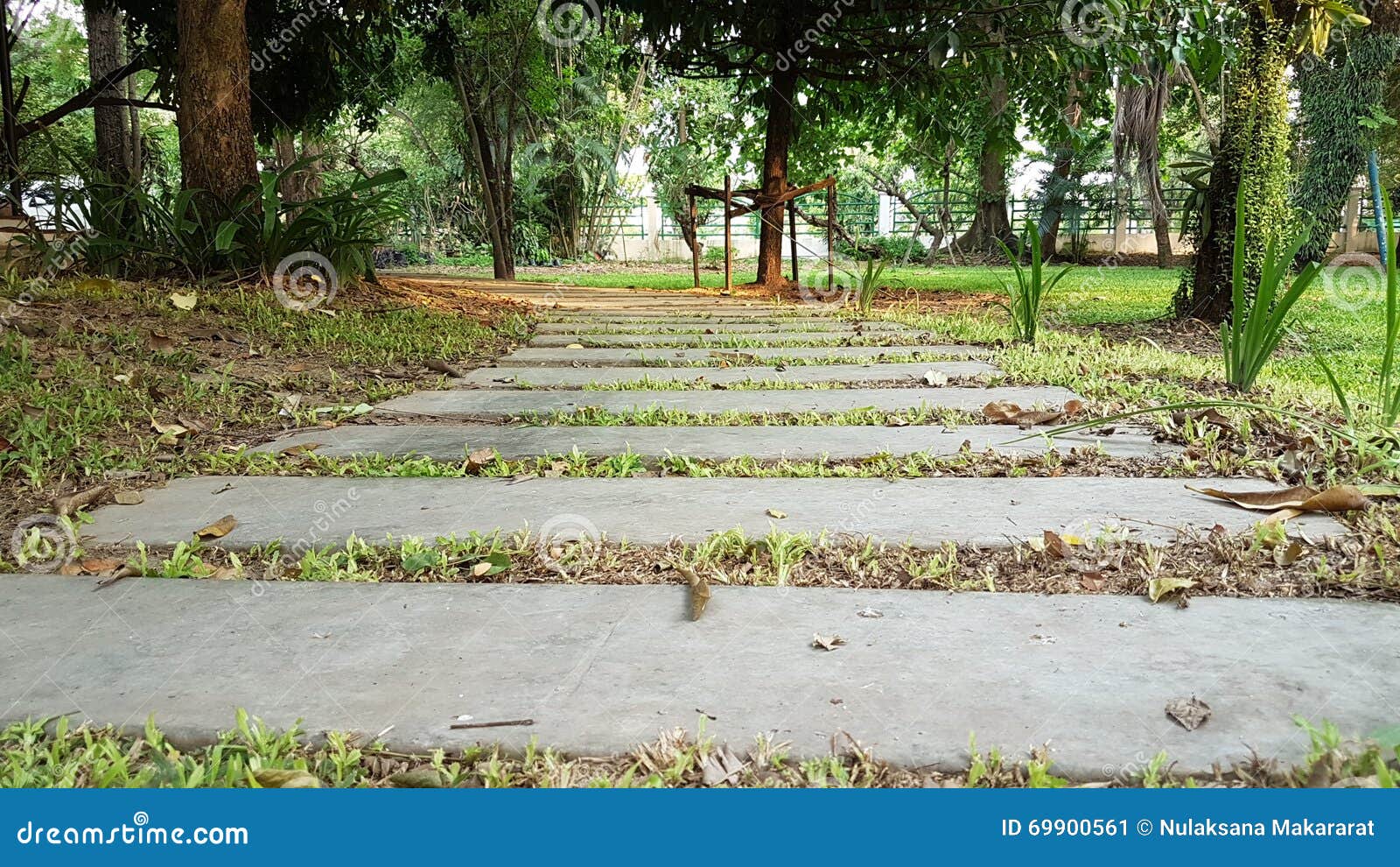 On the way stock image. Image of grass, step, walking - 69900561