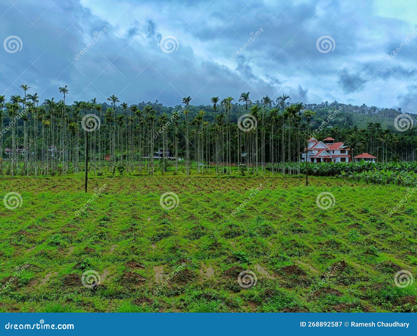 Wayanad Beauty View from View Point on the Way of Wayanad Stock Image ...