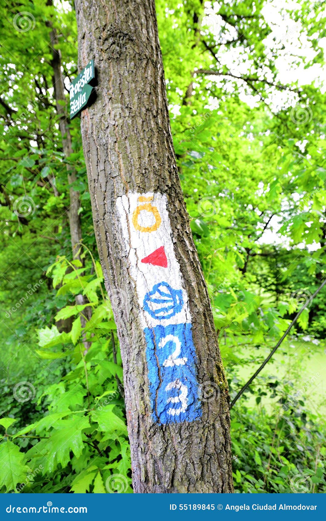 Waymarked signs stock image. Image of pilgrim, signs - 55189845