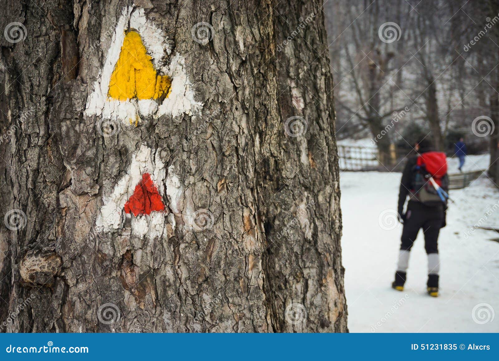 Waymarks Painted Tree Romania Stock Photos - Free & Royalty-Free Stock ...