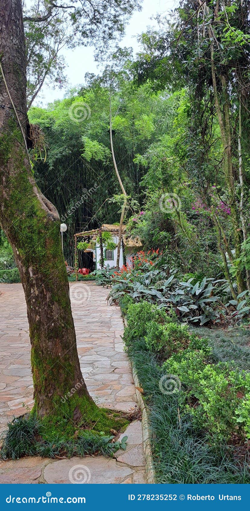 Ways to my home stock photo. Image of journey, family - 278235252