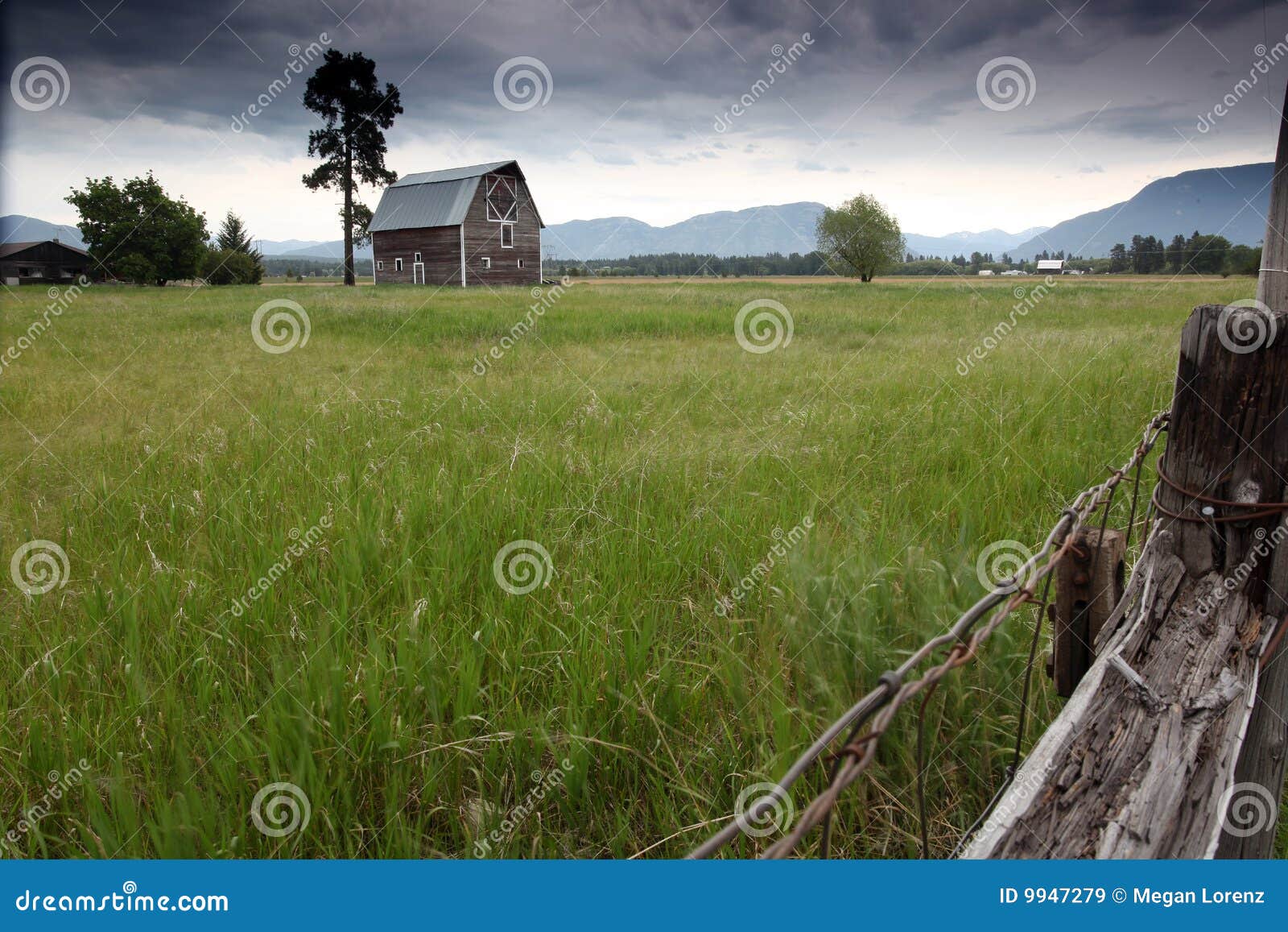 Collection of The Barnyard Photos - Dreamstime ID:6760