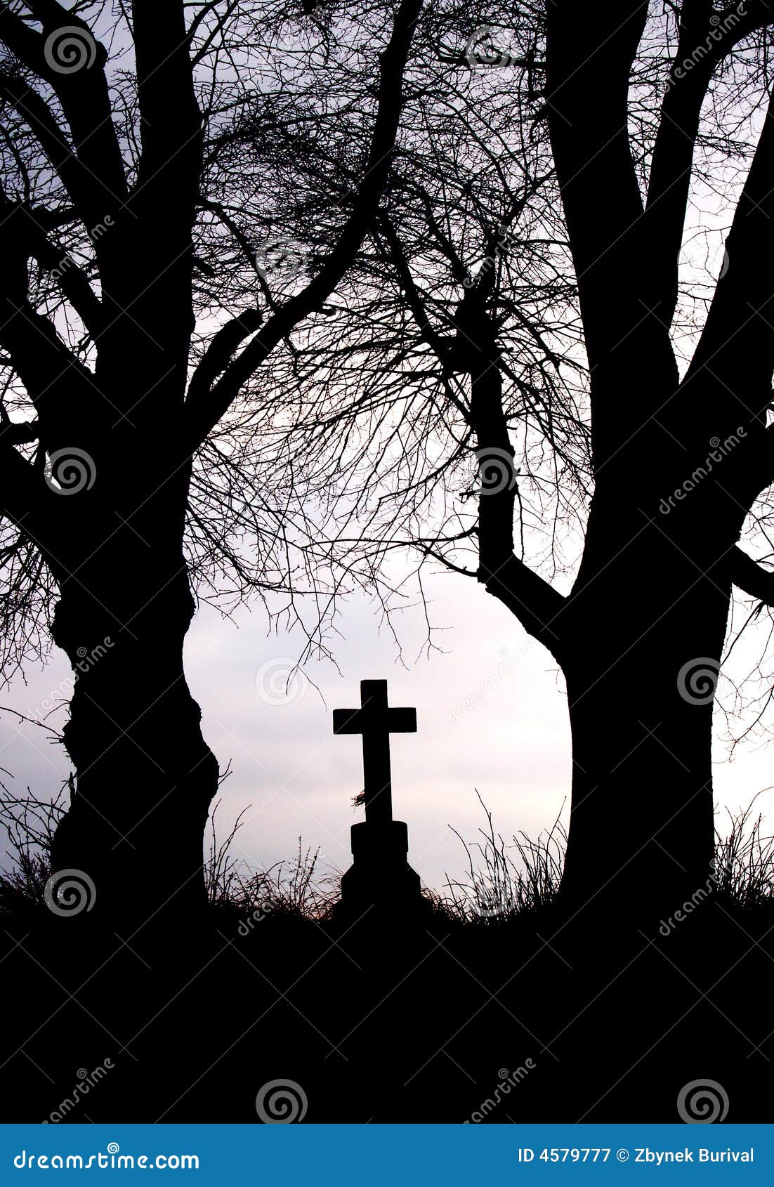 10,624 Christian Cross Trees Stock Photos - Free & Royalty-Free Stock ...