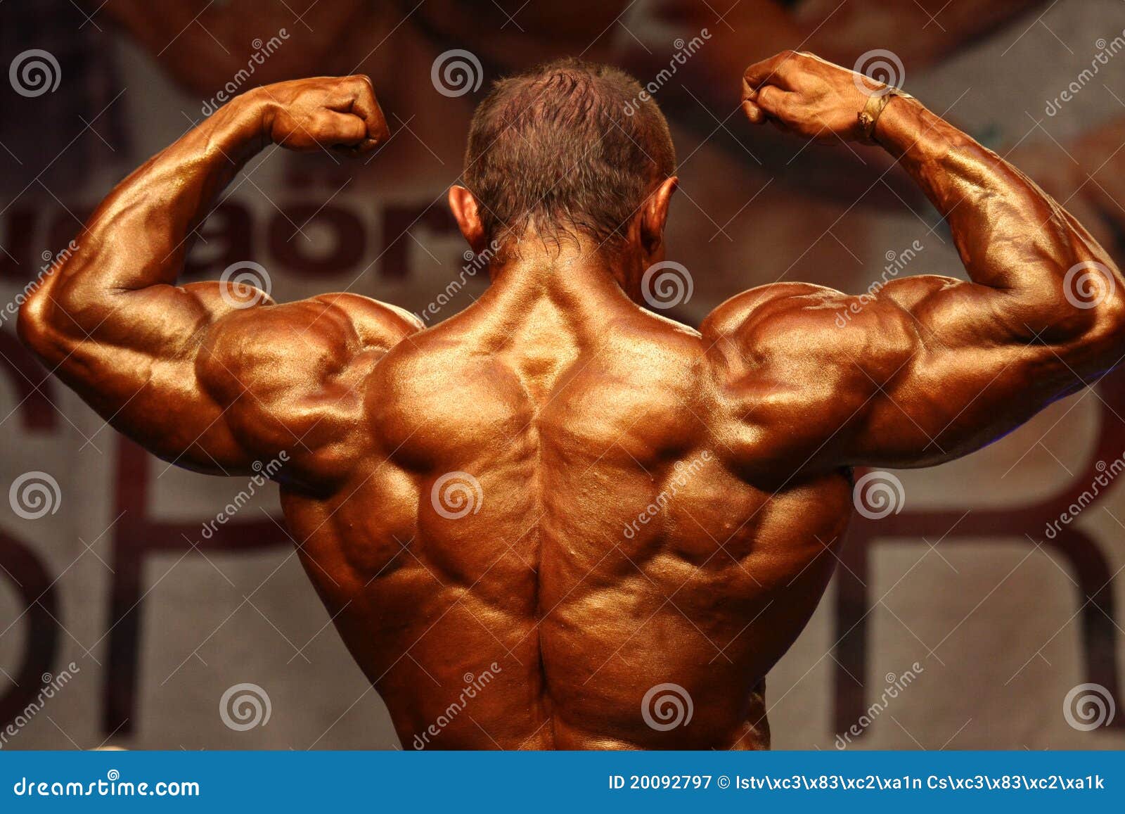 WBPF Bodybuilding European Championship Editorial Photography - Image ...