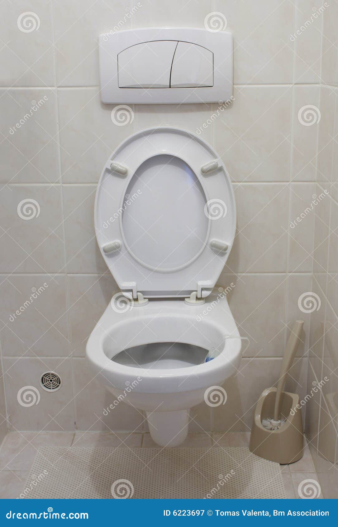 WC immagine stock. Immagine di elegante, rossore, dell - 6223697
