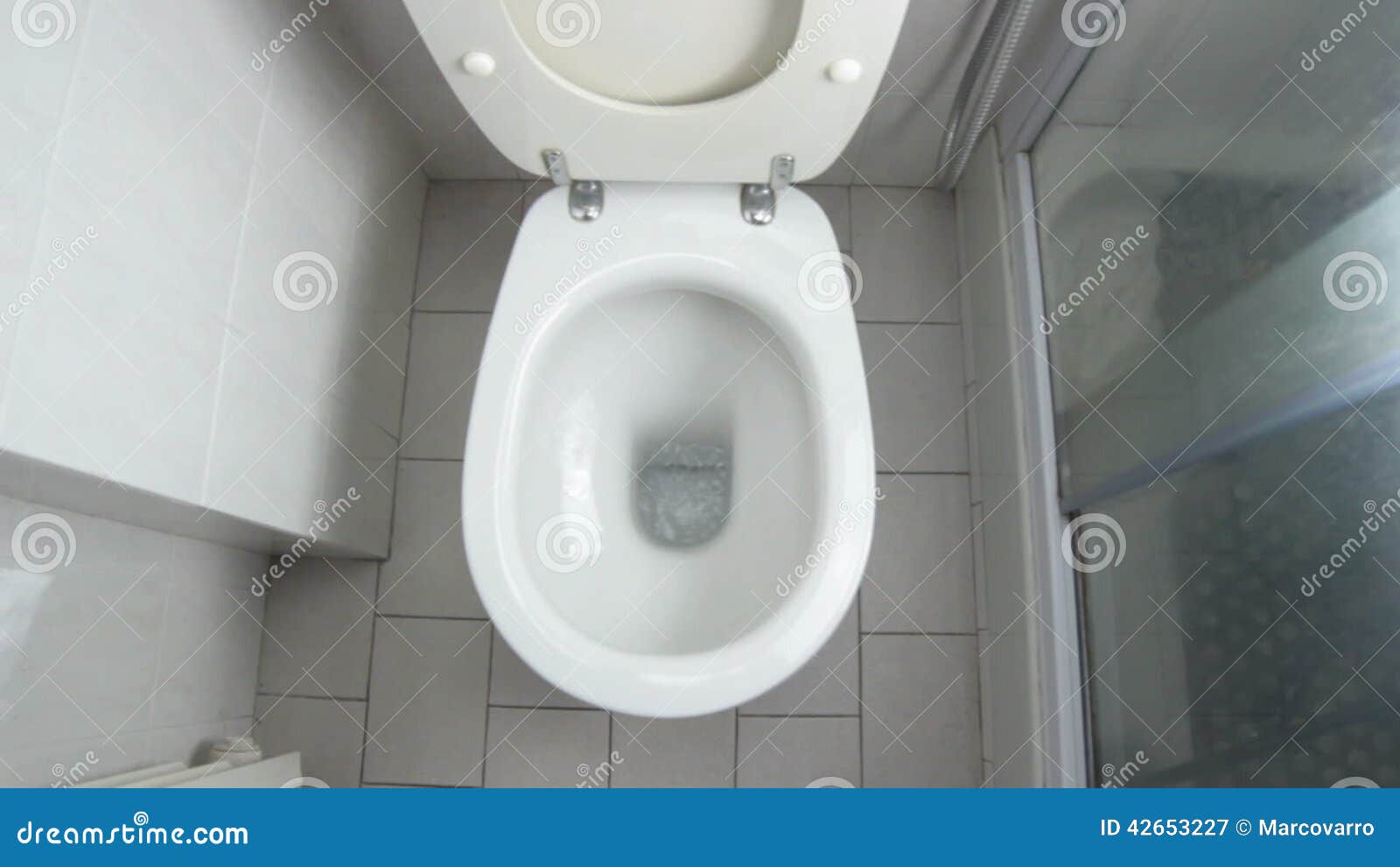 WC flush stock video. Video of clean, splashing, flush - 42653227