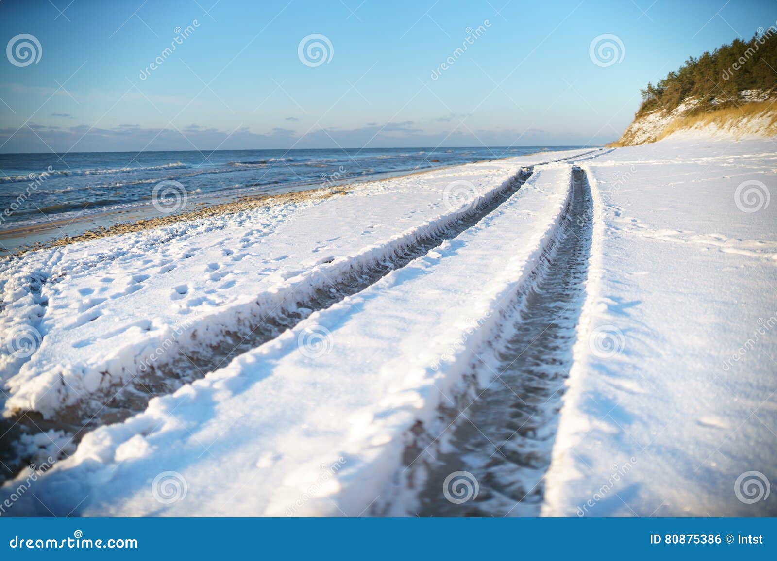 4wd path along sea coast stock photo. Image of serenity - 80875386