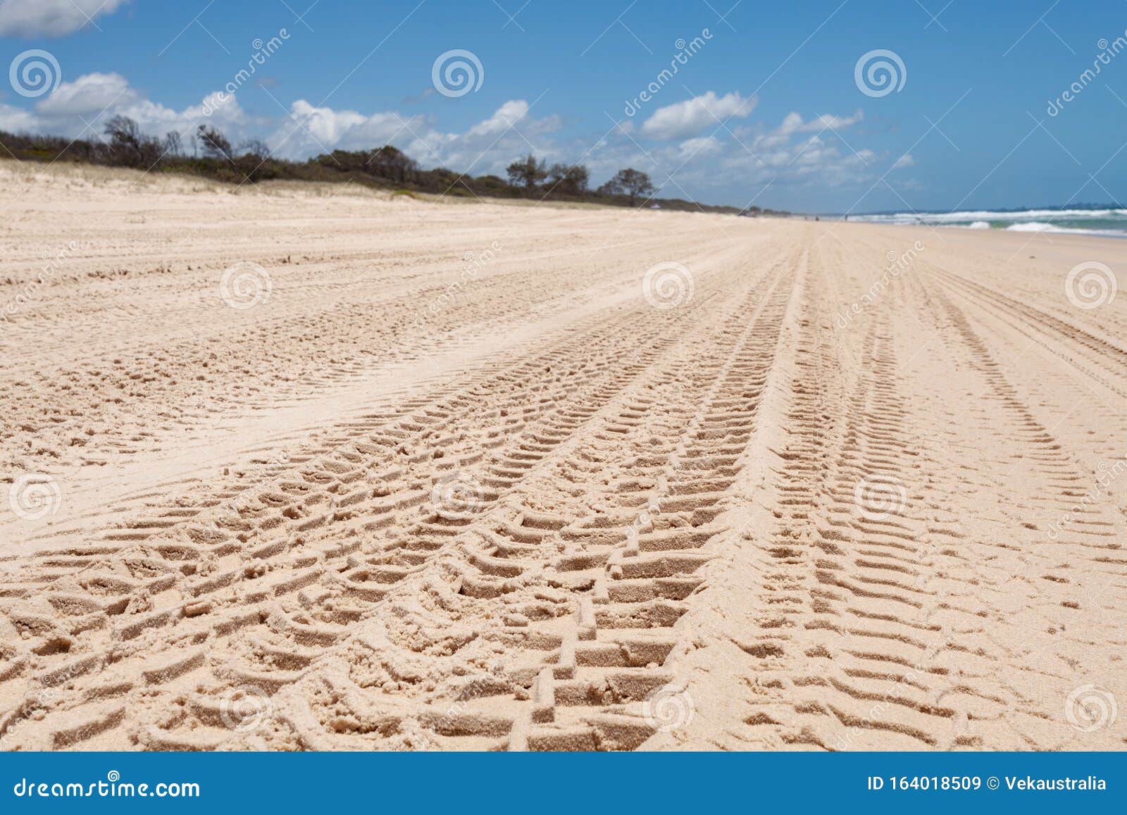 4WD Tyre Tracks Sand Beach stock image. Image of sand - 164018509