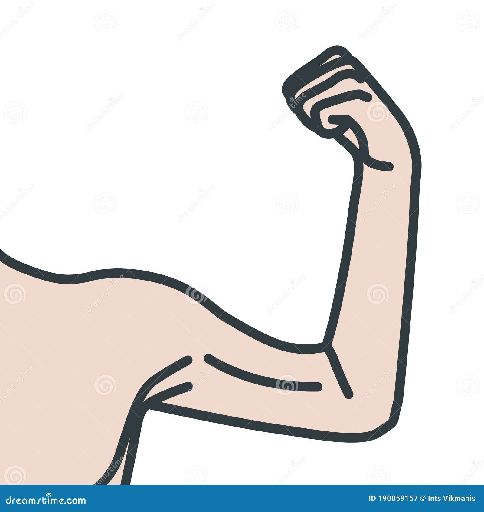 Weak Male Arms With Flexed Biceps Muscles Vector Illustration ... Weak Male Arms With Flexed Biceps Muscles Vector Illustration ...