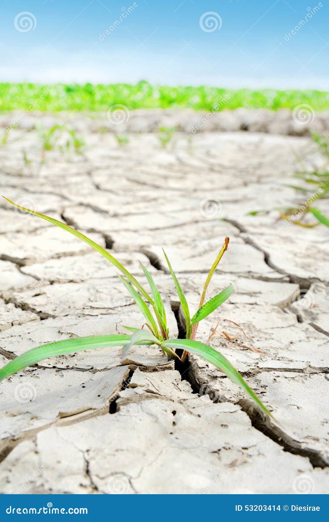 Weak plant stock photo. Image of change, environmental - 53203414