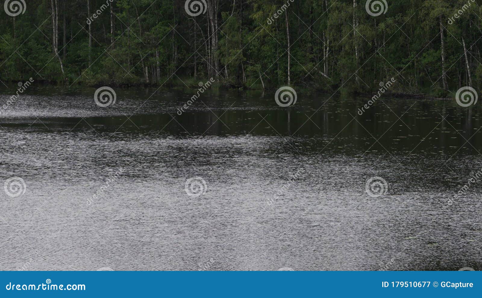 Weak Rain Falling on Lake Water Surface Stock Video - Video of abstract ...