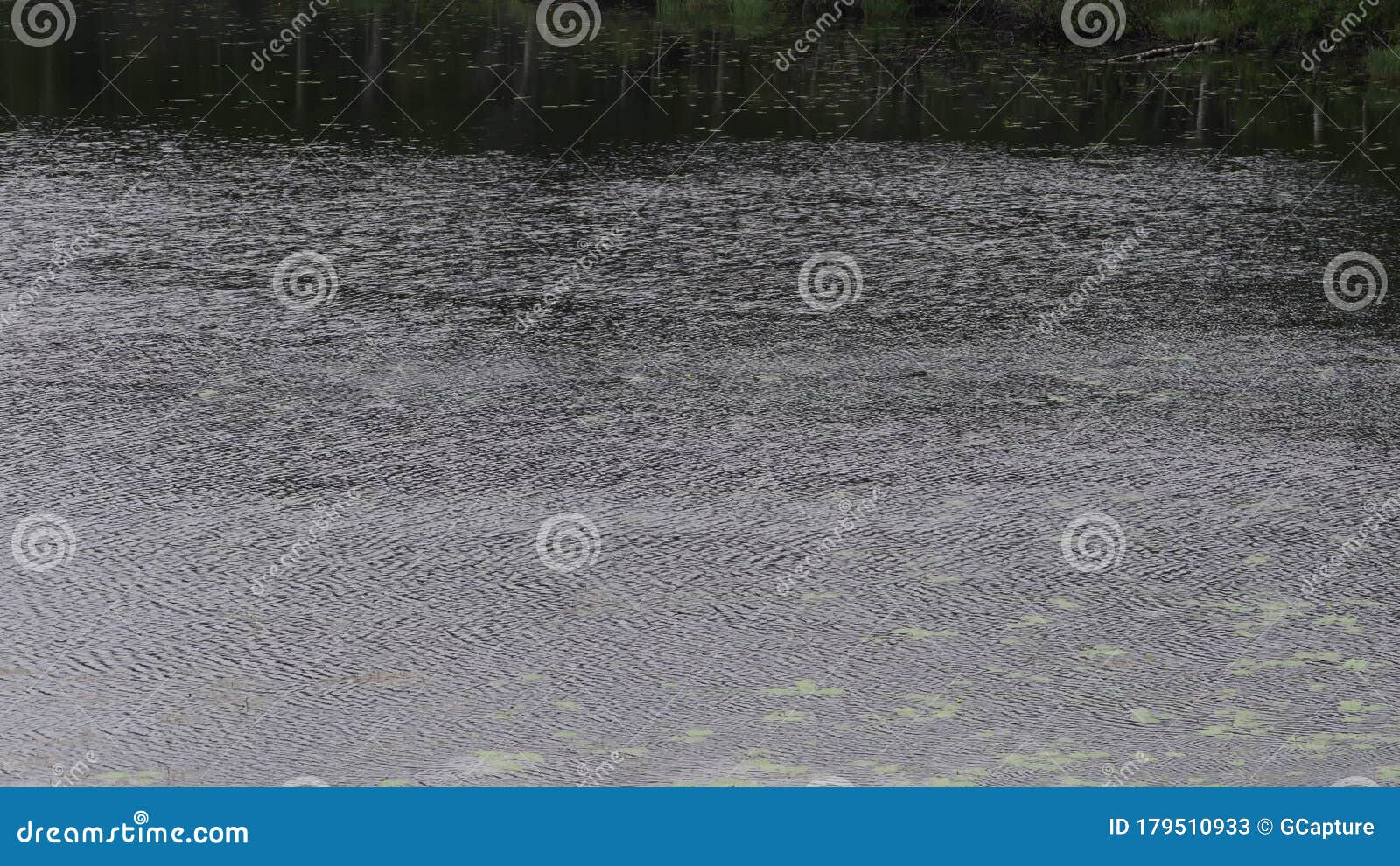 Weak Rain Falling on Lake Water Surface Stock Video - Video of pond ...