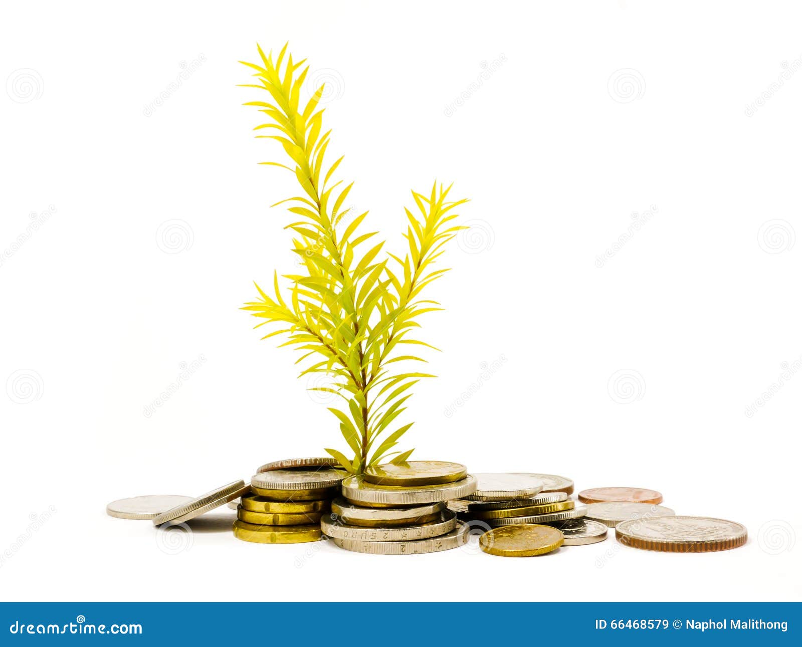 Wealth grow up stock image. Image of banking, earnings - 66468579