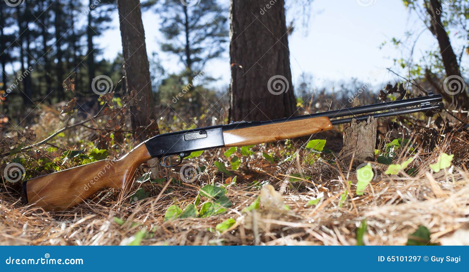 Weapon stock image. Image of forest, gray, metal, needles - 65101297