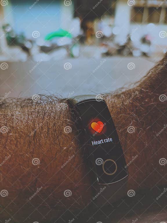 Wearable heart rate sensor stock photo. Image of wearable - 223046680