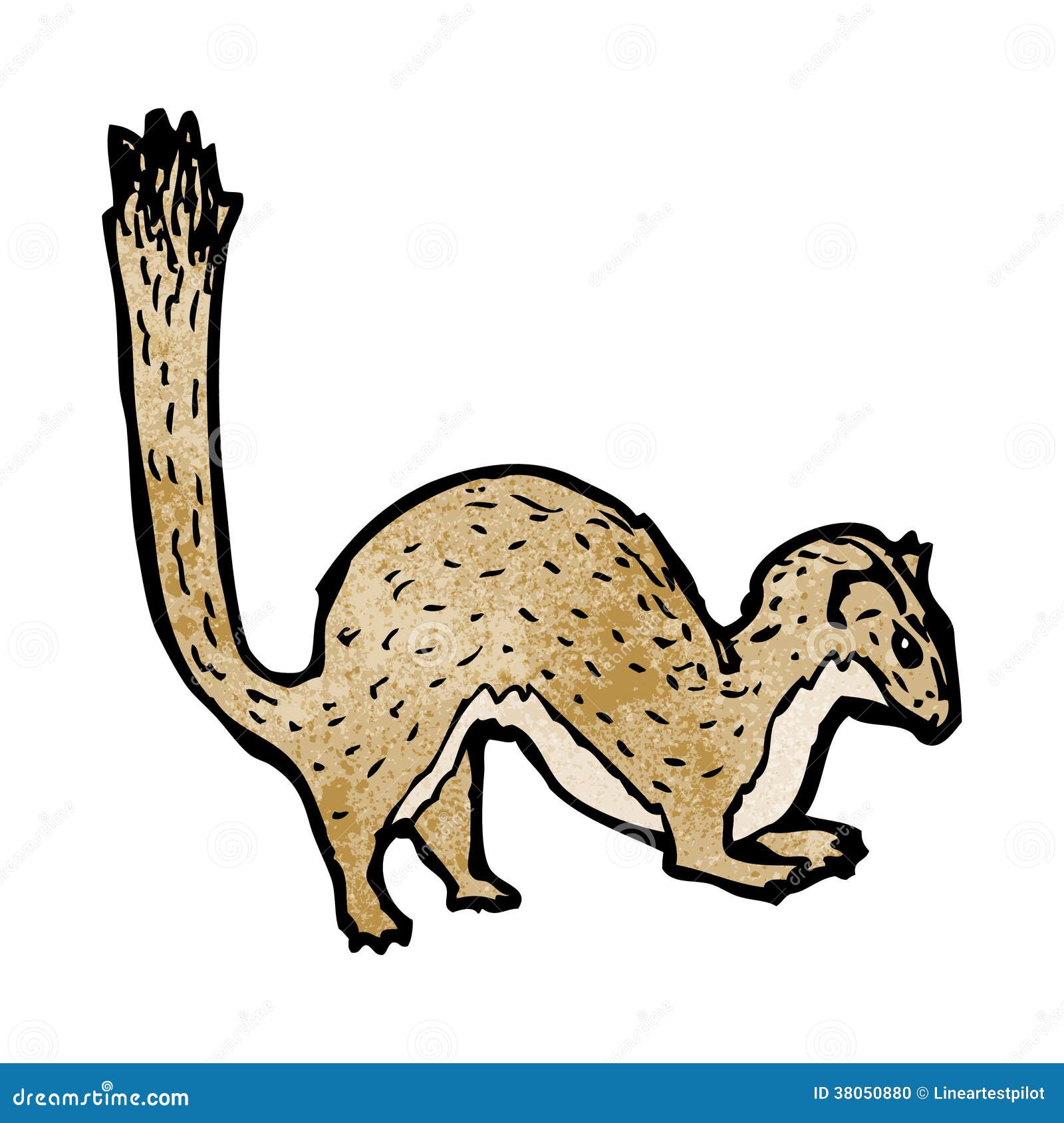 Weasel illustration stock vector. Illustration of clip - 38050880
