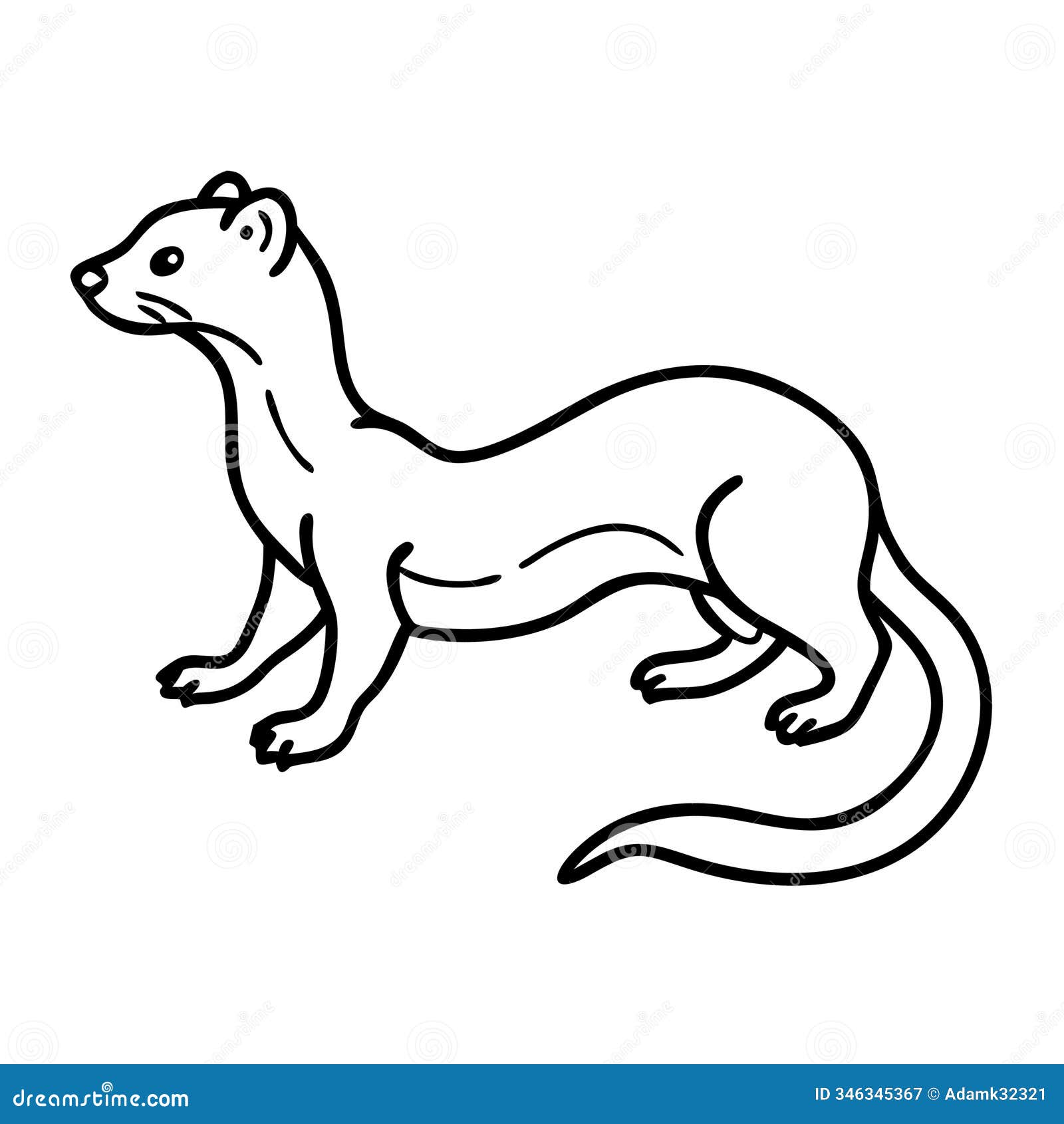 Weasel Outline Vector Illustration for Wildlife Education and Design ...