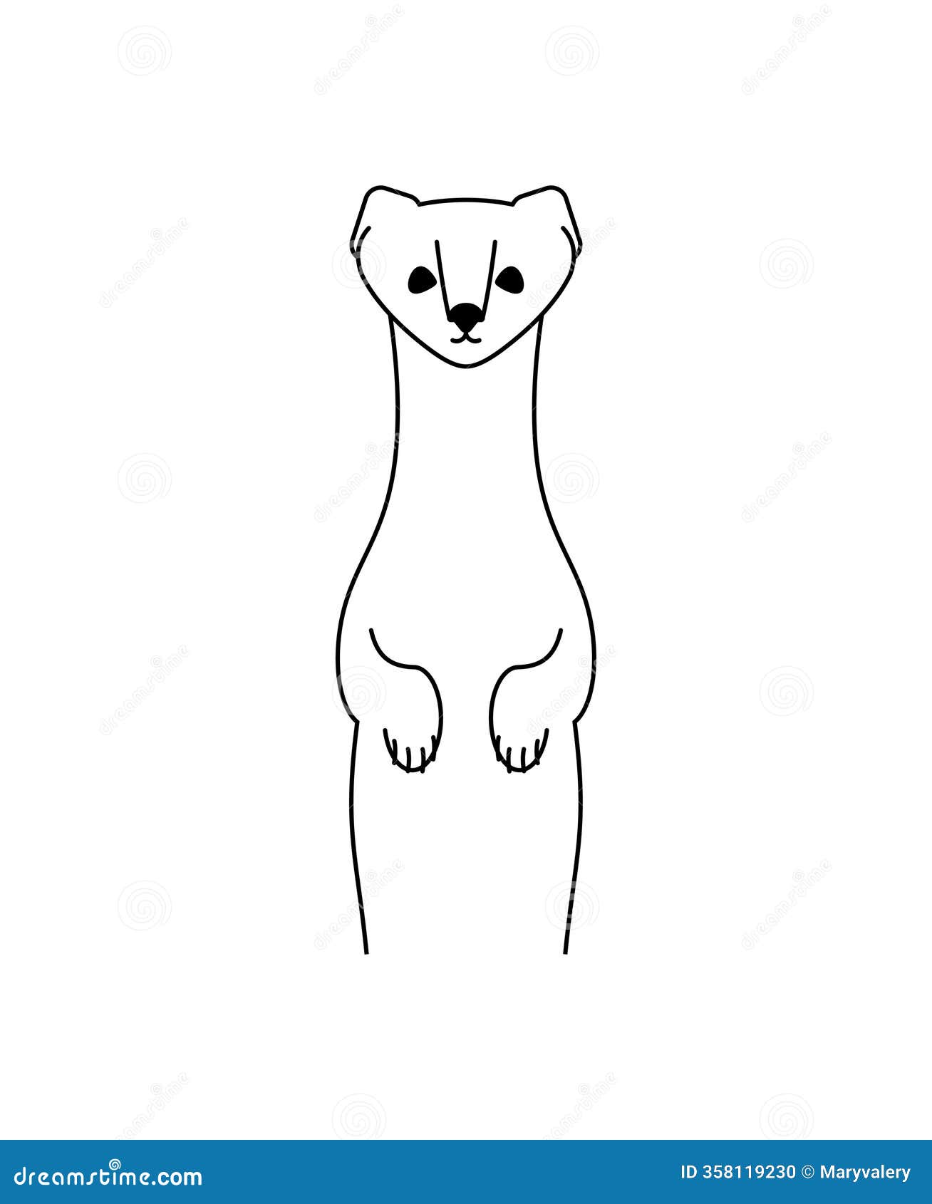 Weasel Symbol Icon. Ermine Sign Stock Vector - Illustration of ermine ...