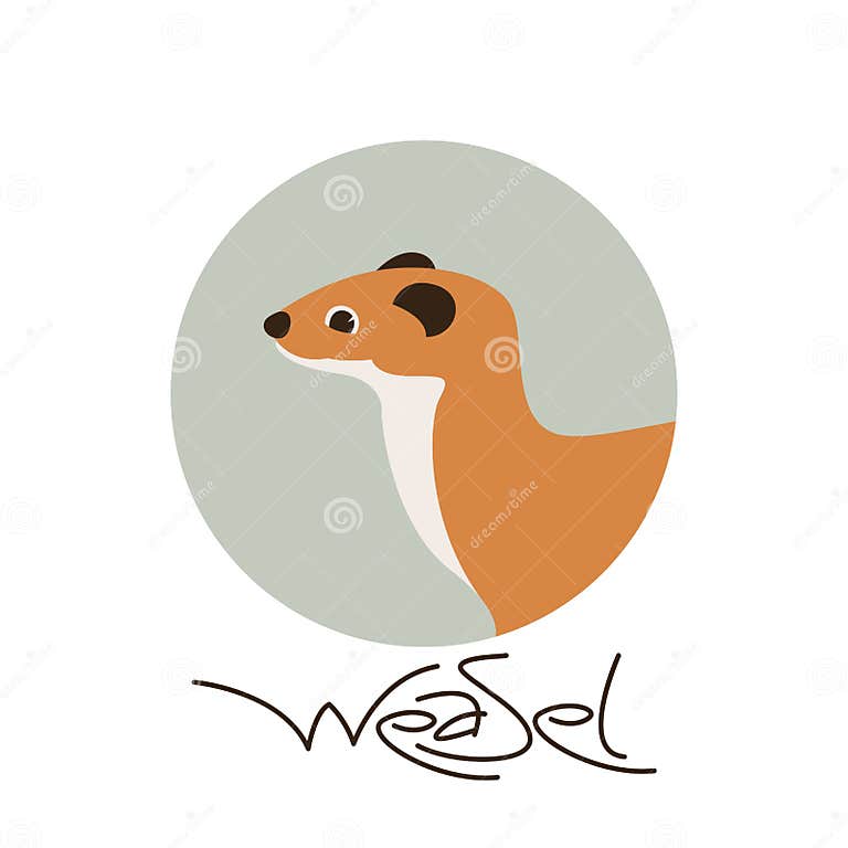 Weasel Vector Illustration, Flat Style, ,profile View Stock Vector ...