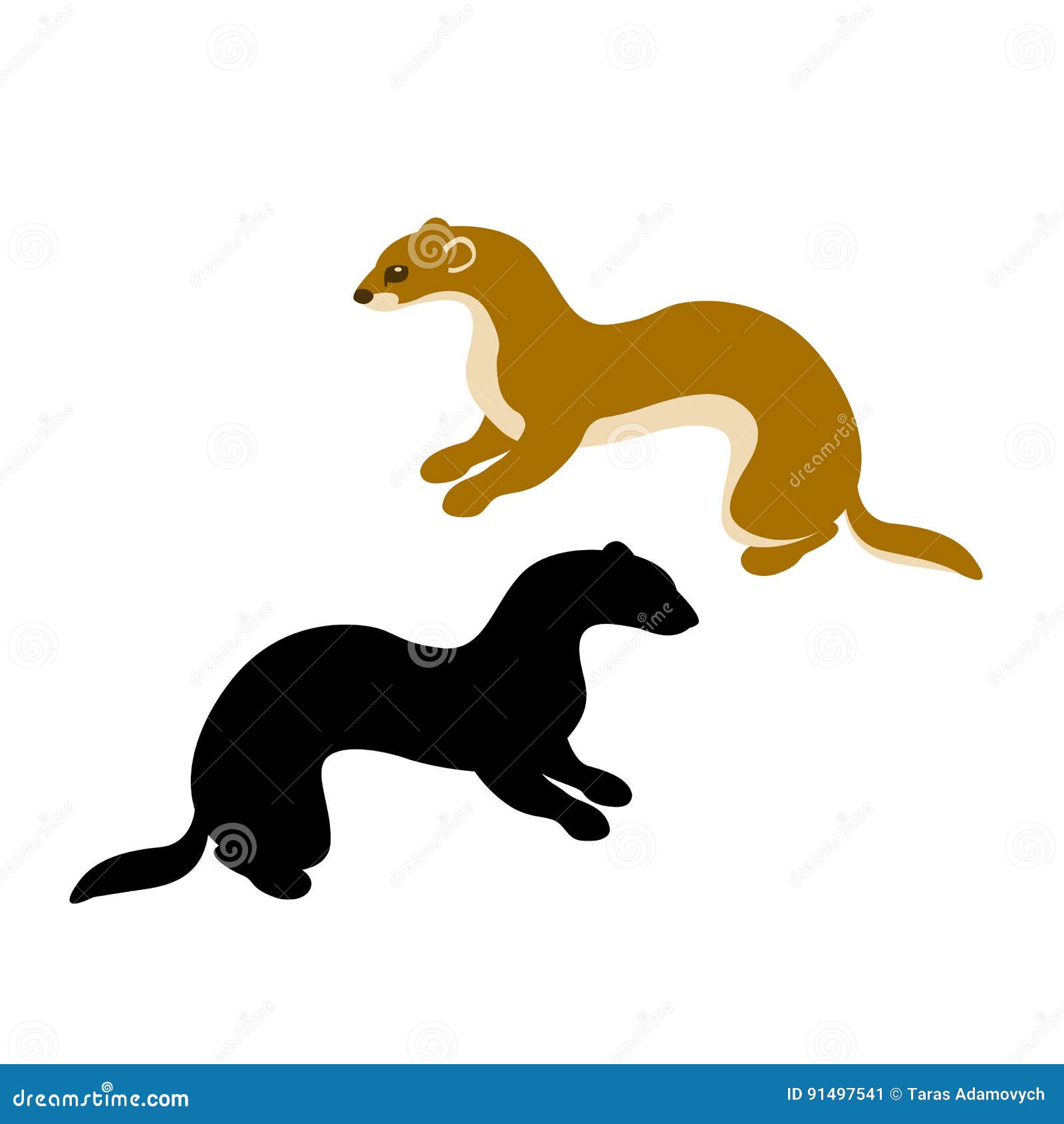 Weasel Vector Illustration Style Flat Stock Vector - Illustration of ...