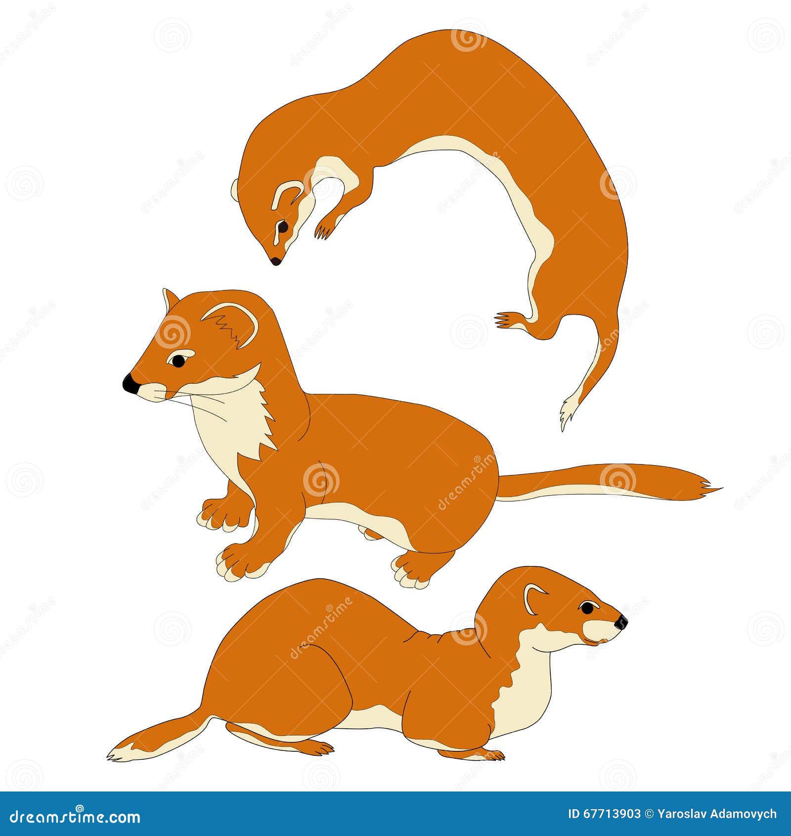 Weasel vector illustration stock vector. Illustration of character ...